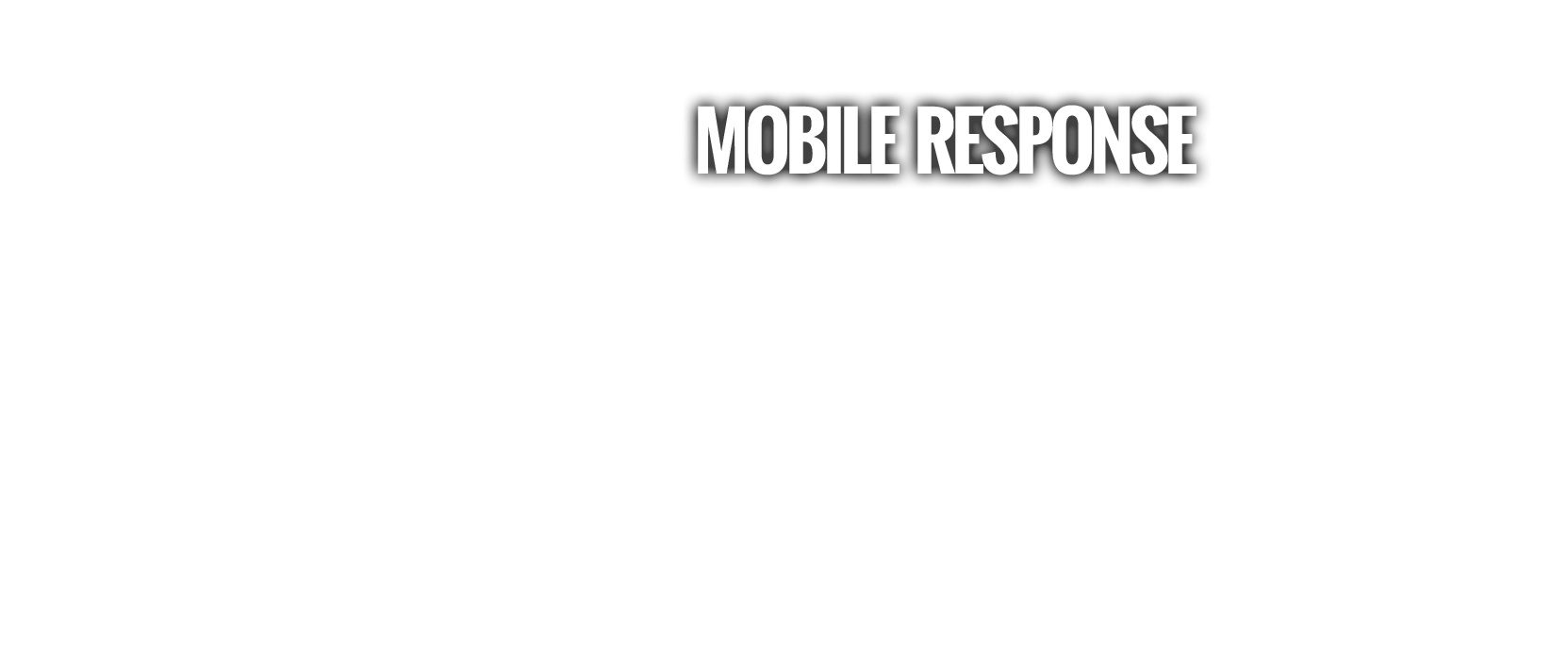 Security Company - Armed and Un-armed Security Services, Event Security ...