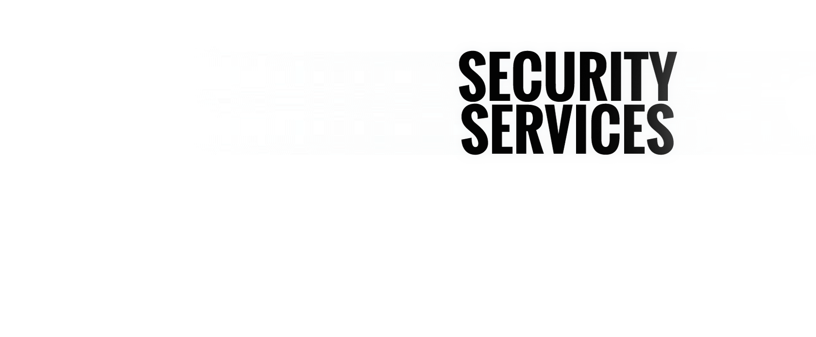 Security Company - Armed and Un-armed Security Services, Event Security ...