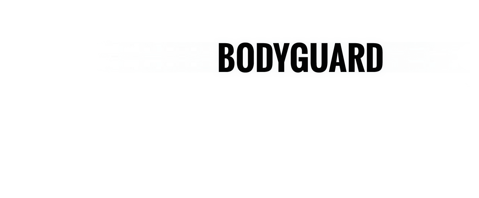 Security Company - Armed and Un-armed Security Services, Event Security ...